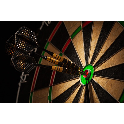 Das richtige Dartboard kaufen