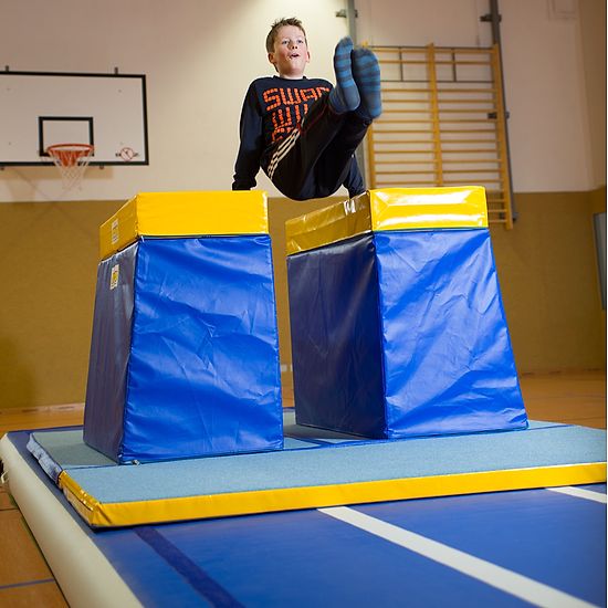 Reivo Turnbarren "Rinogym" kaufen - Sport-Thieme