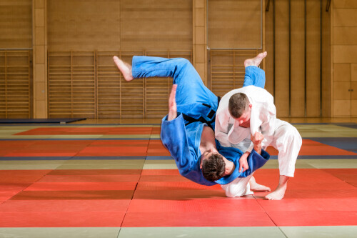 Spielideen zum Ringen, Raufen und Kämpfen