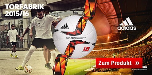 Sport, Fitness, Therapie: Sportgeräte von Sport-Thieme